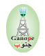 EGYPES 2024 | 17-19 February 2025 | Egypt International Exhibition Center