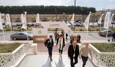 AL MANARA CONFERENCE FLAGS - EGYPES