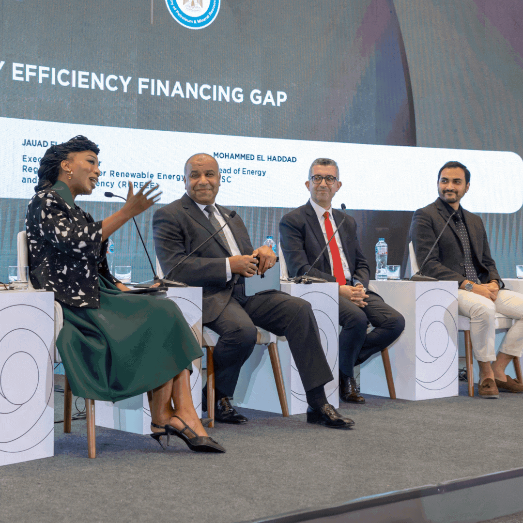 Finance & Investment In Energy Conference - EGYPES